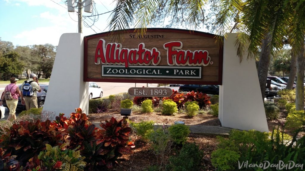 St Augustine Alligator Farm Zoological Park - Vilano DayByDay